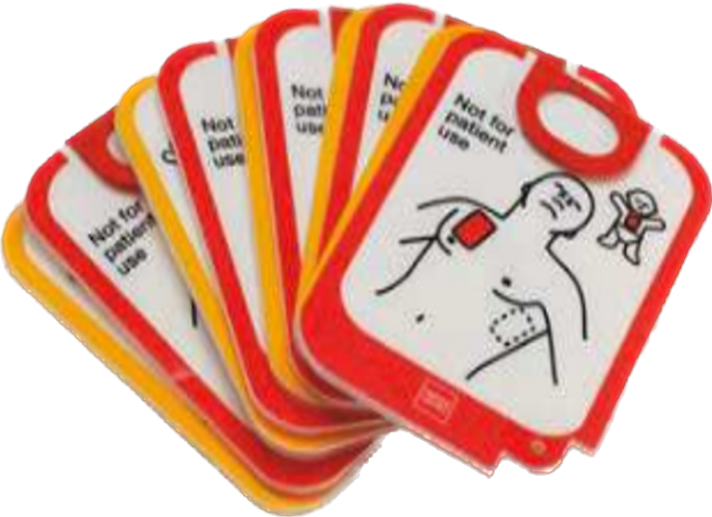 Physio-Control LIFEPAK CR2 AED Training Electrode Pads – The AED Store